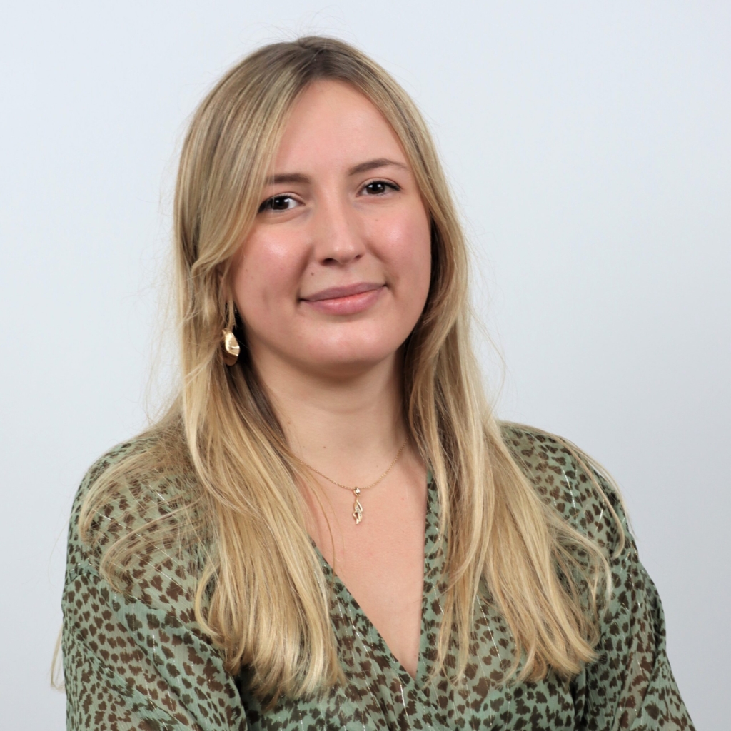 Protection du patrimoine informationnel : regard sur le cyber ...